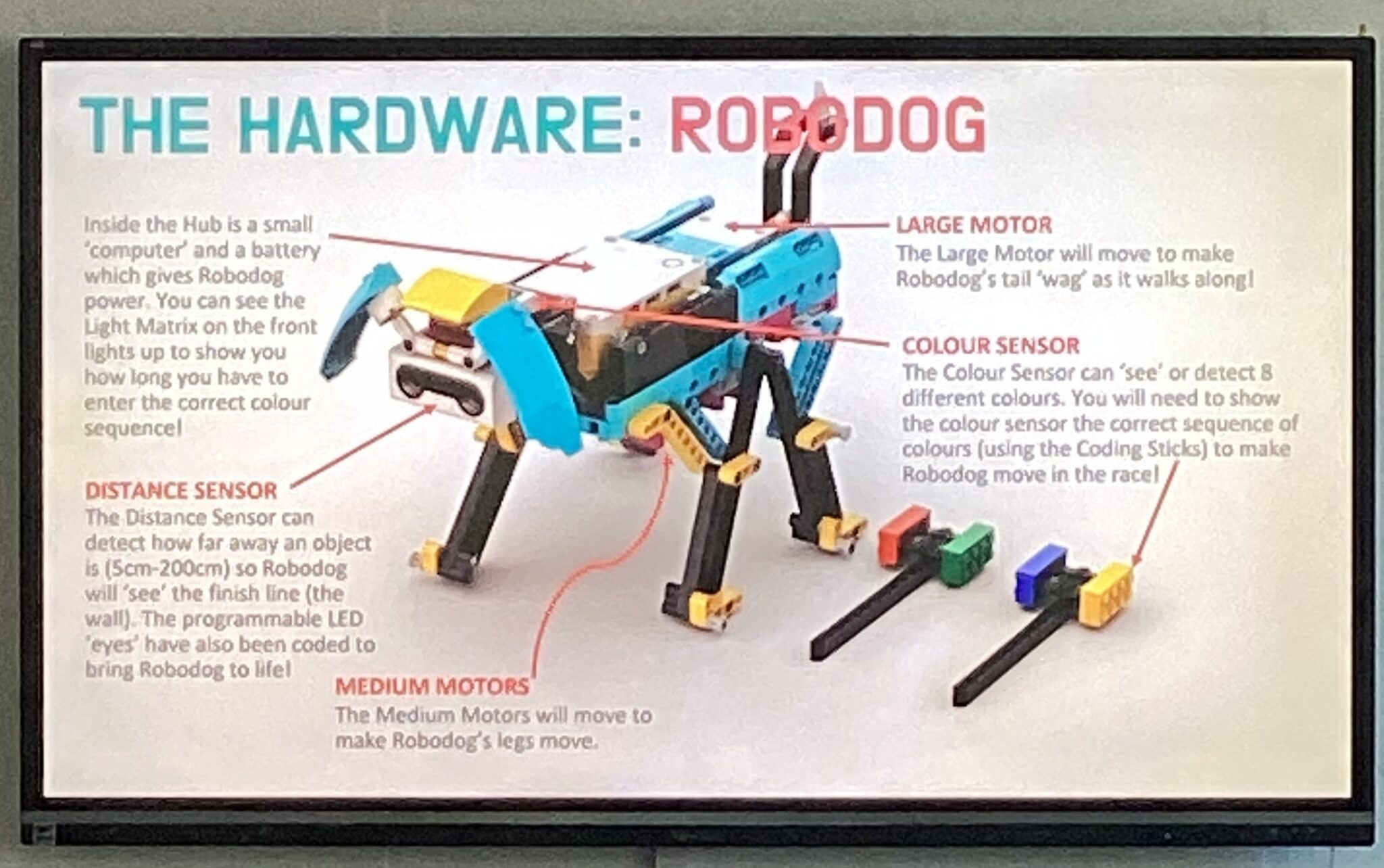 Teaching Robodog New Tricks - Powered by Year 7! - Smestow Academy